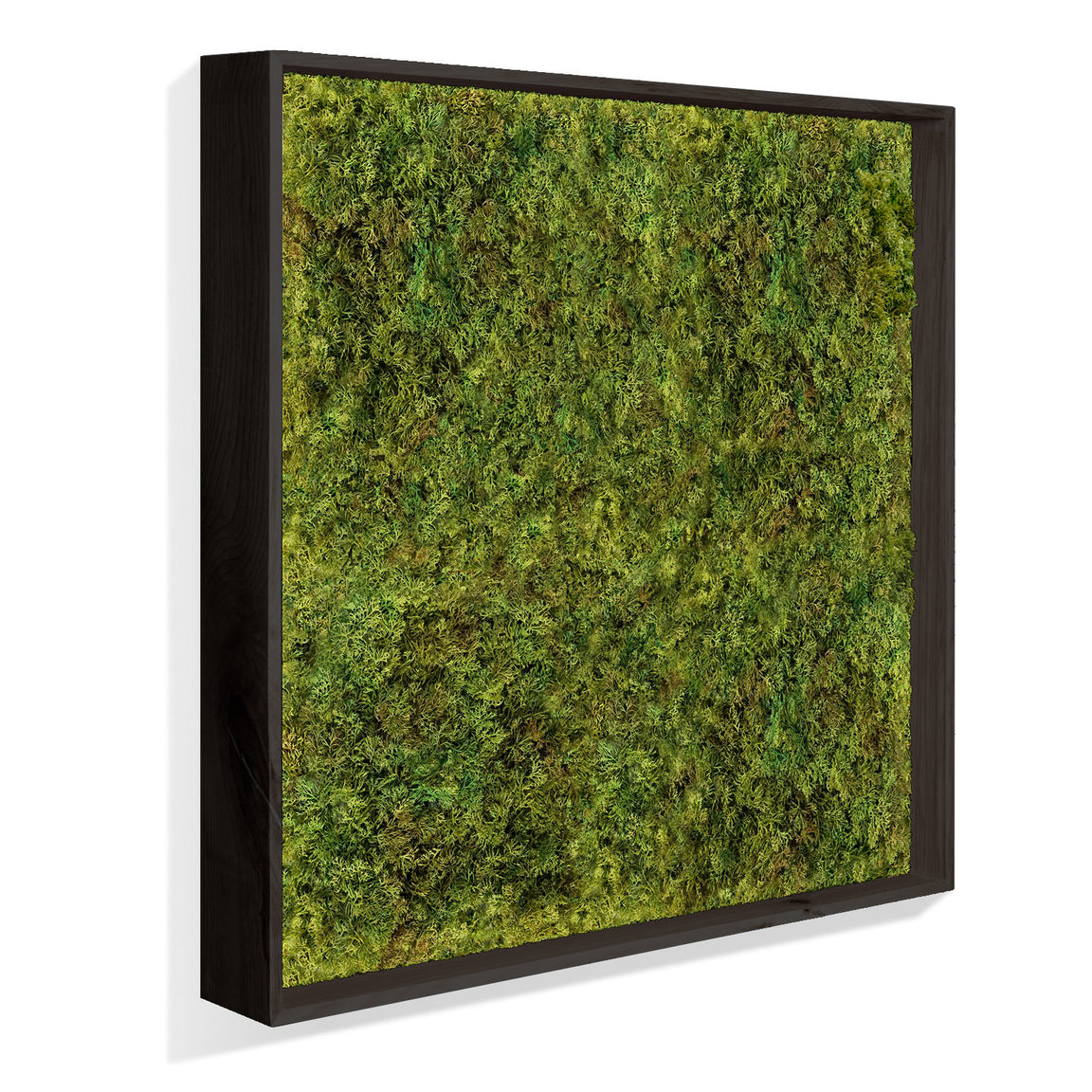 Gold Leaf Design Group: Inspired by Nature. Naturally Inspiring.