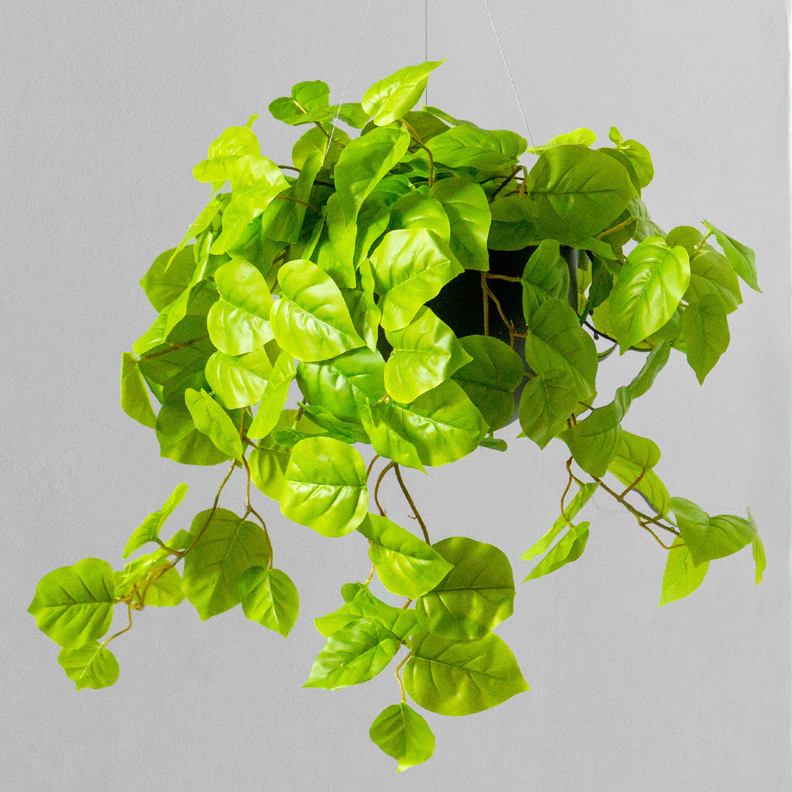 Gold Leaf Design Group: Inspired by Nature. Naturally Inspiring.