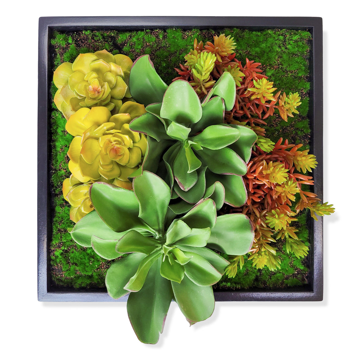 Gold Leaf Design Group: Inspired by Nature. Naturally Inspiring.
