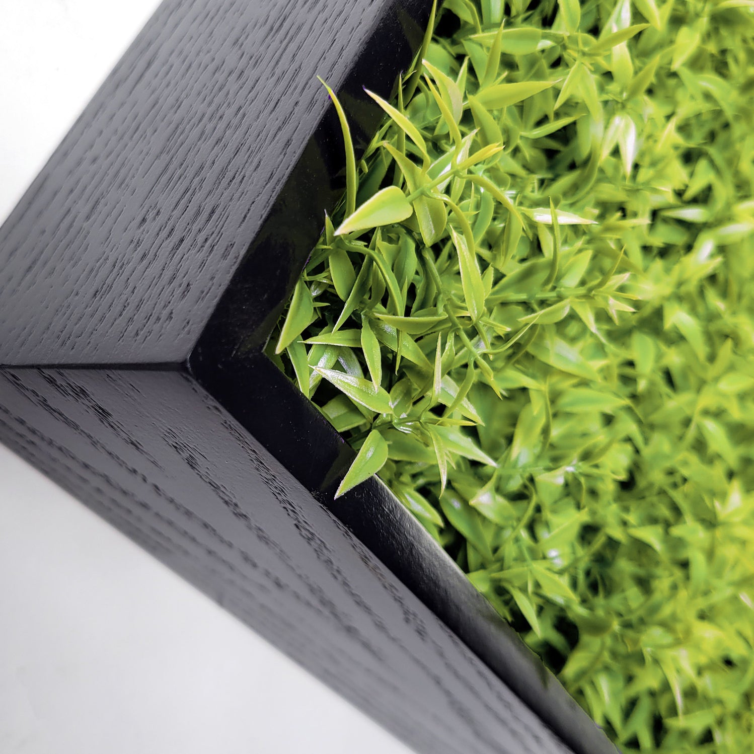 Gold Leaf Design Group: Inspired by Nature. Naturally Inspiring.