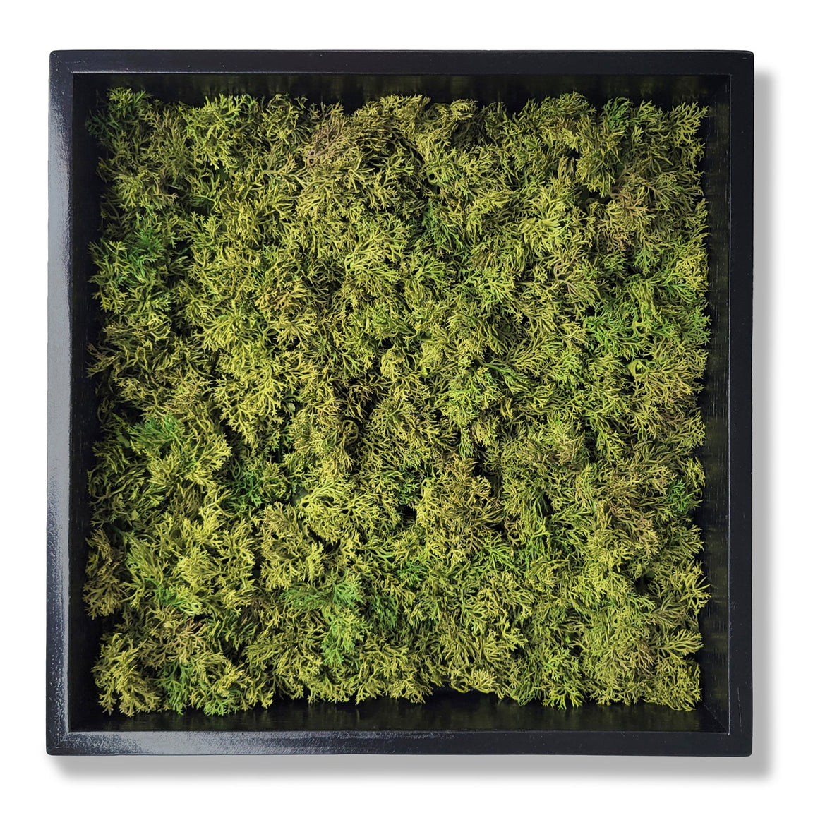 Gold Leaf Design Group: Inspired by Nature. Naturally Inspiring.