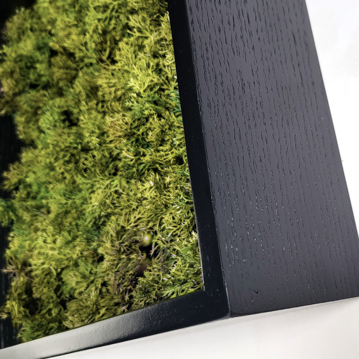 Gold Leaf Design Group: Inspired by Nature. Naturally Inspiring.
