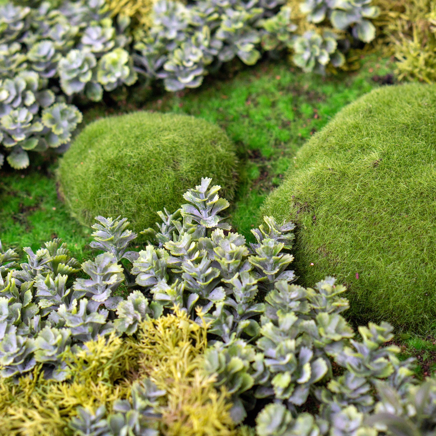 Gold Leaf Design Group: Inspired by Nature. Naturally Inspiring.