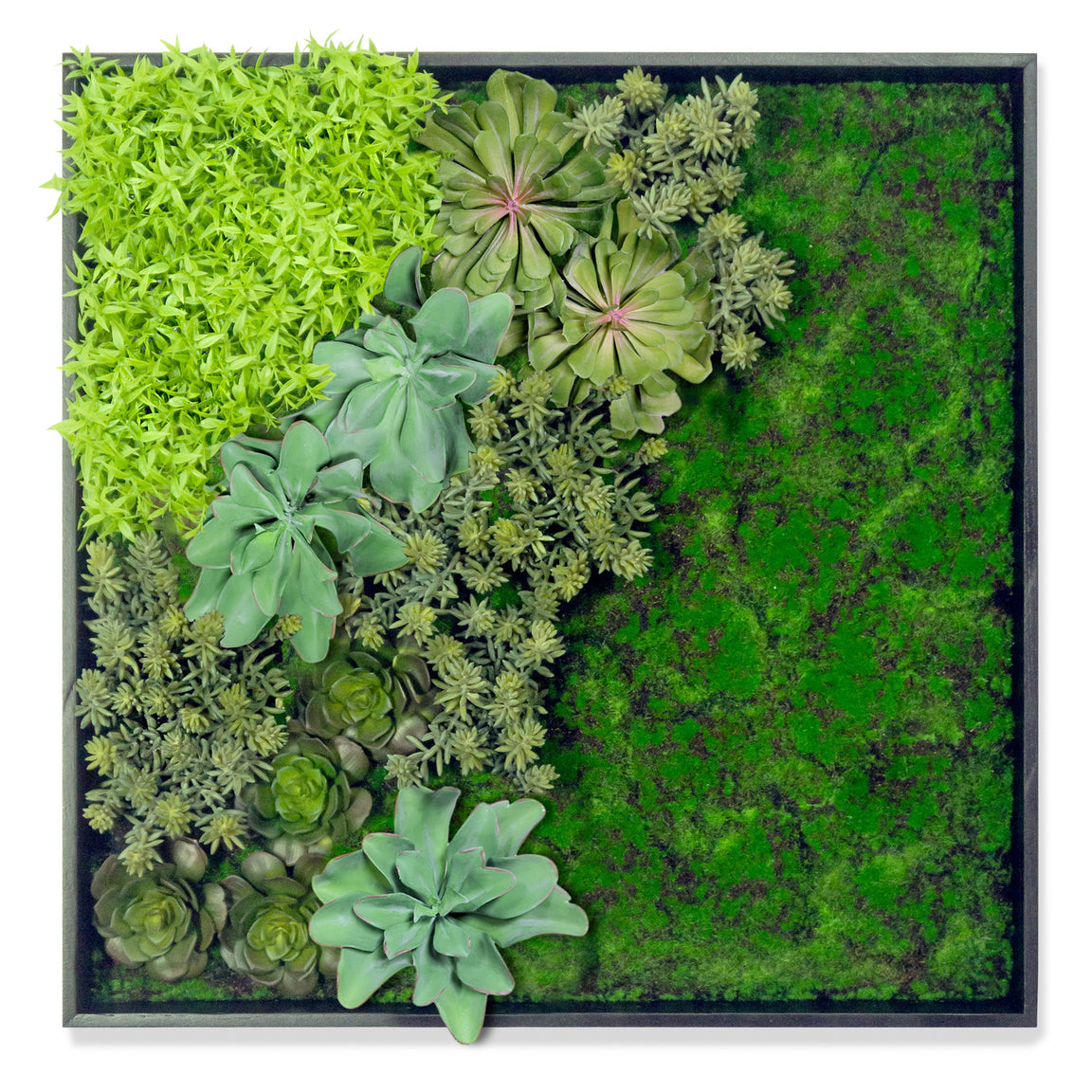 Gold Leaf Design Group: Inspired by Nature. Naturally Inspiring.