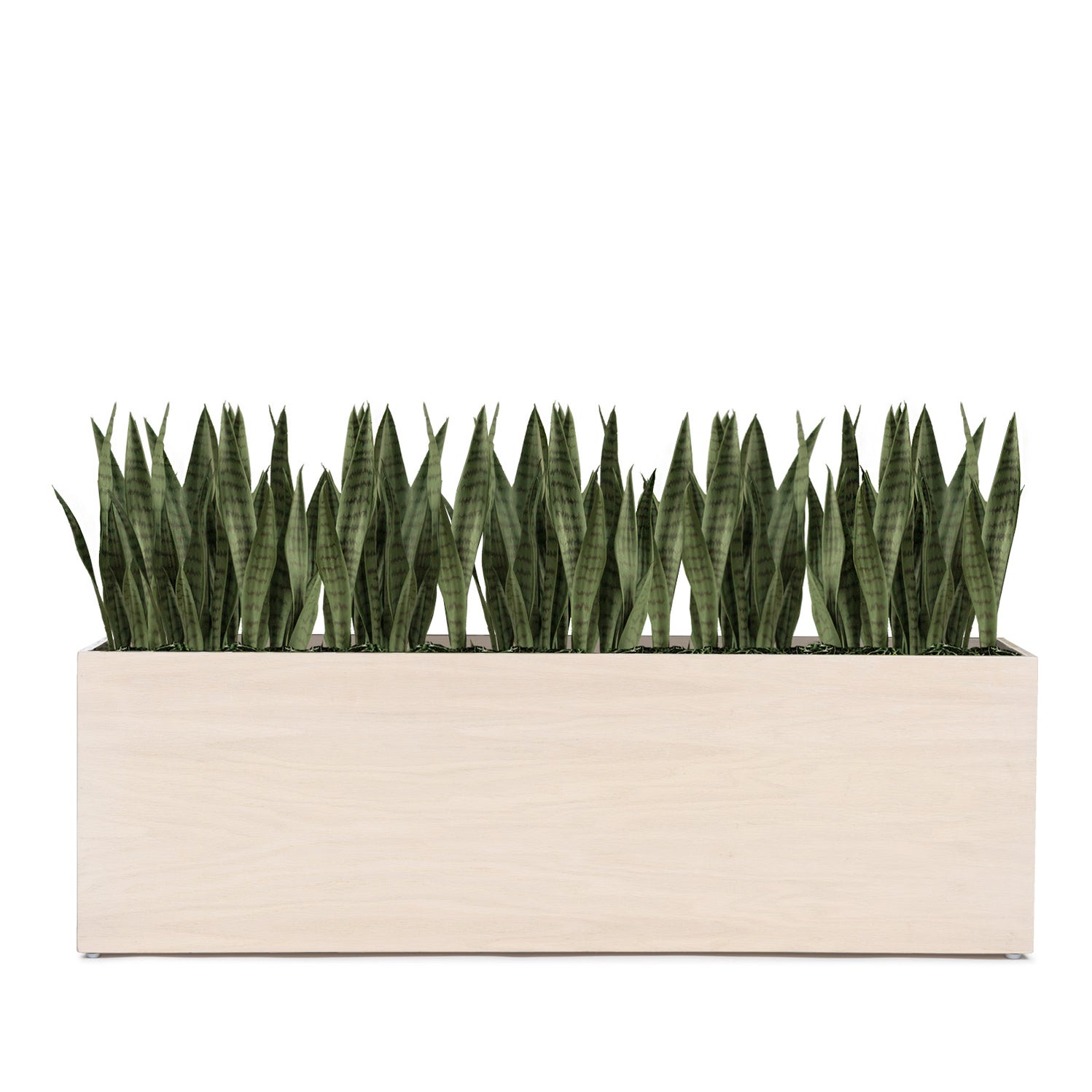 Gold Leaf Design Group: Inspired by Nature. Naturally Inspiring.