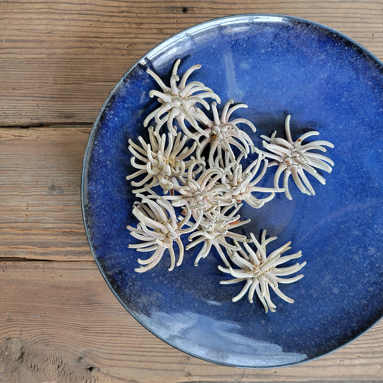 Gold Leaf Design Group: Inspired by Nature. Naturally Inspiring.