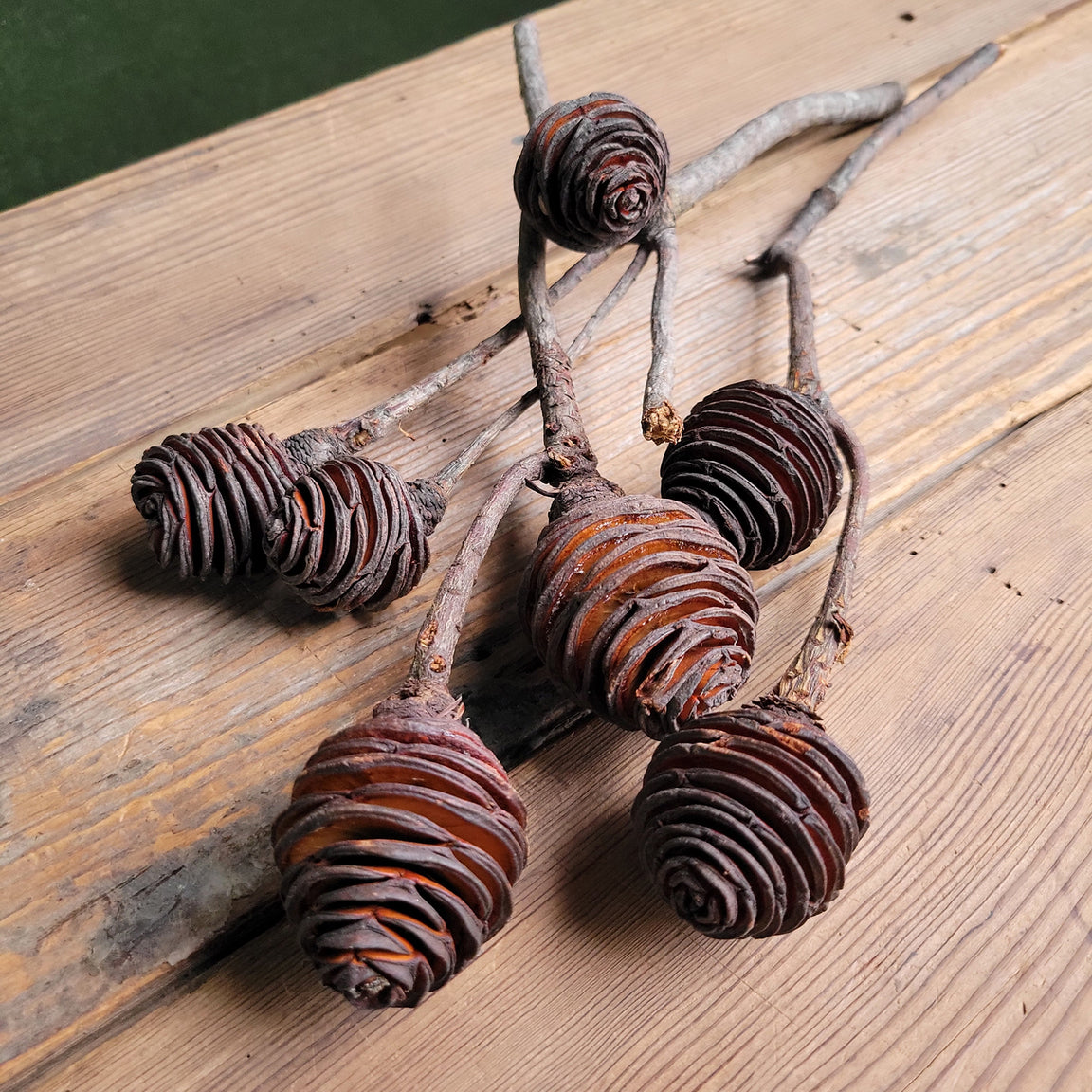 Gold Leaf Design Group: Inspired by Nature. Naturally Inspiring.